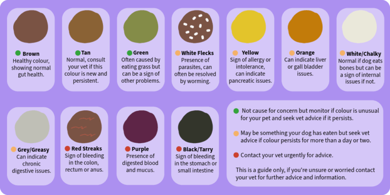 Dog poop colour chart | Dog poo colour guide | VetUK